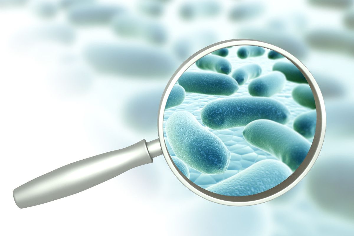 Zašto dobre* bakterije — Biorela